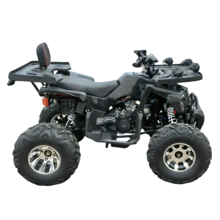 EIKU-H30, 200cc Adult All-terrain Off-road ATV. | Renco Industrial